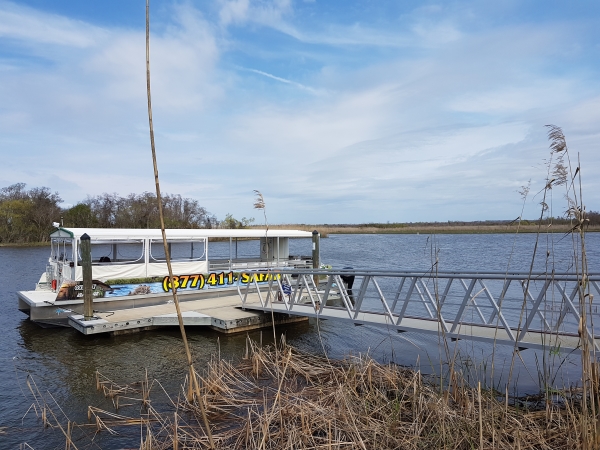 The Cunning Gators of Mobile Bay | The Travel Pages