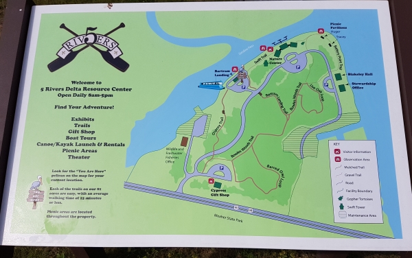 The Cunning Gators of Mobile Bay | The Travel Pages