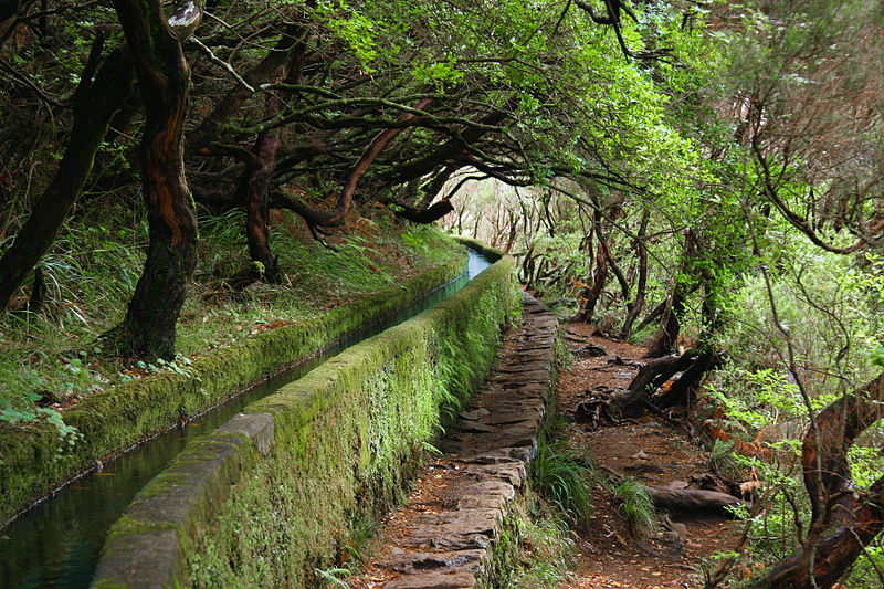 The Levadas of Madeira | The Travel Pages