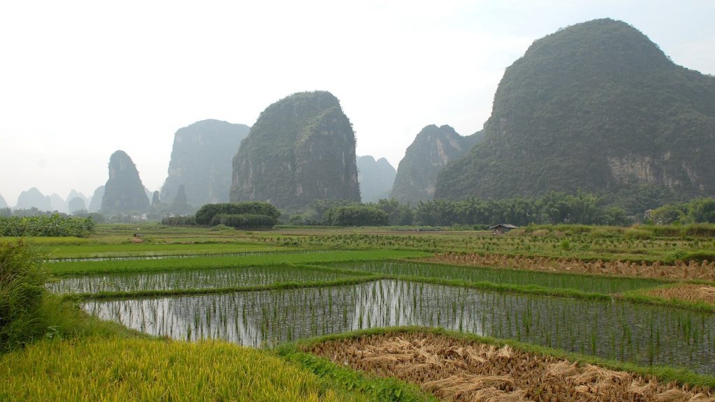 Snakes Alive in Yangshuo | The Travel Pages
