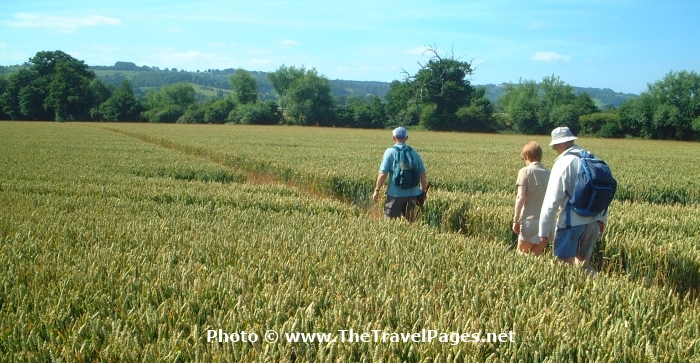 Joining the Pudding Club | The Travel Pages