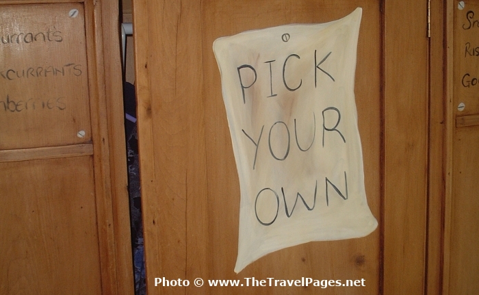 Joining the Pudding Club | The Travel Pages