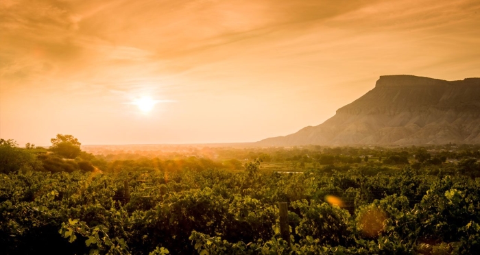 The USA for Wine Lovers | The Travel Pages