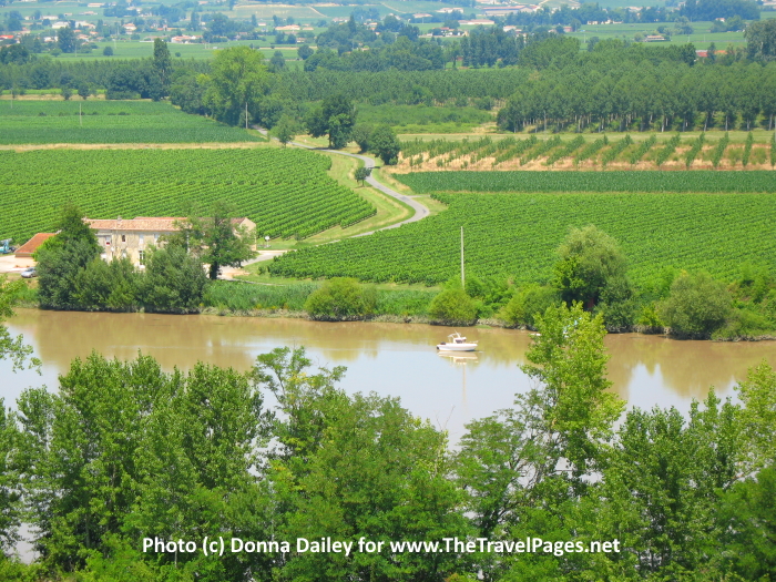 The Winegeese of Bordeaux | The Travel Pages