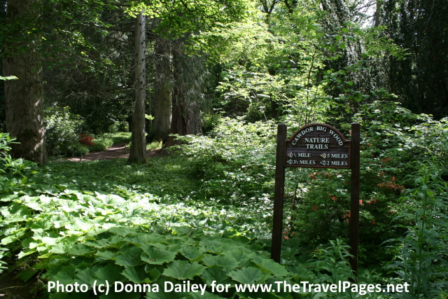 Ten Best Things to Do in Inverness | The Travel Pages