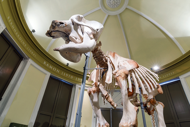 Best Things to Do in Rotterdam | The Travel Pages